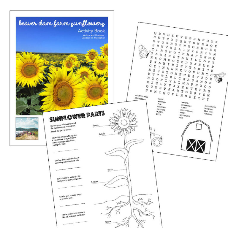 Sunflower Activity Book · Beaver Dam Sunflowers